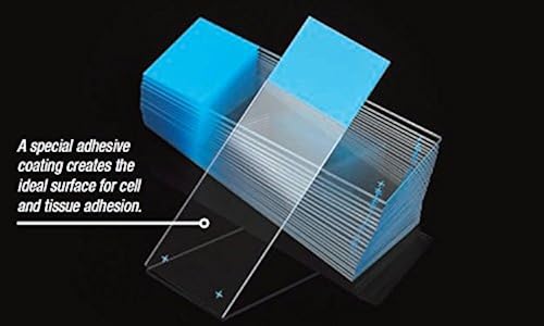 Globe Scientific Diamond 1358G White Glass Charged Microscope Slide, 25 ...