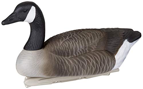 Flambeau Outdoors 8091SHU Storm Front 2 Canada Goose Decoy, Classic ...