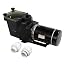 Amazon.com : Hayward SP2610X15 Super Pump 1.5 HP Pool Pump : Swimming ...
