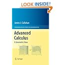 Advanced Calculus: A Geometric View (Undergraduate Texts in Mathematics ...