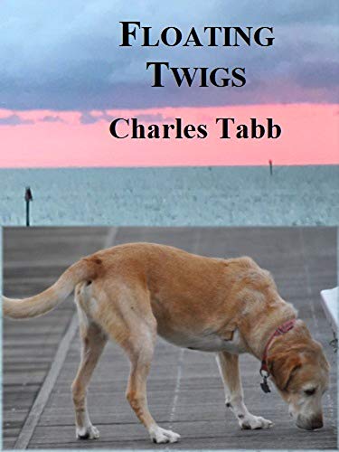 Floating Twigs: Charles Tabb: 9781722104399: Amazon.com: Books