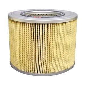 Amazon.com: Fuel Filter, Element/DAHL, 201-W: Automotive