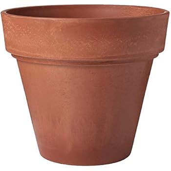Amazon.com: DEROMA 01310FZ 12-Inch Terra Cotta Clay Pot, Standard: Home ...