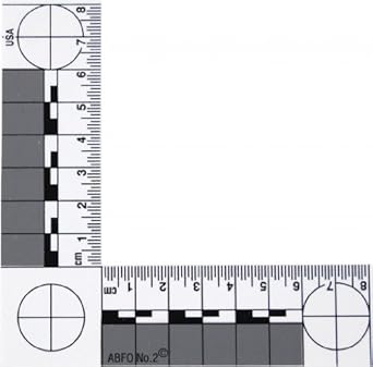 Amazon.com: Abfo no. 2 Photomacrographic scale: Industrial & Scientific