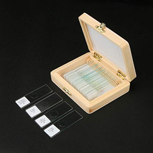 Prepared Microscope Slides Set for Students Basic Biological Science ...
