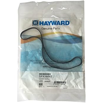 Amazon.com: Hayward SPX1700FG Pipe Plug with Gasket Replacement for ...
