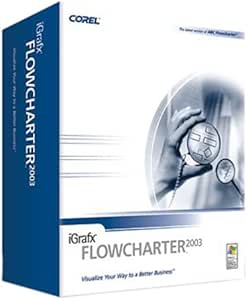 Amazon.com: iGrafx FlowCharter 2003