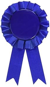 Amazon.com: Award Ribbon (blue) Party Accessory (1 count) (1/Pkg ...