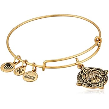 Amazon.com: Alex and Ani "Path of Symbols Guardian Angel Expandable Wire Gold Bangle Charm ...
