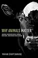 Why Animals Matter: Animal Consciousness, Animal Welfare, and Human ...