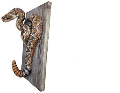 Amazon.com: Rattlesnake Decorative Snake Wall Hook Single with Rustic ...