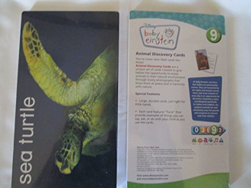 Baby Einstein Animal Discovery Cards