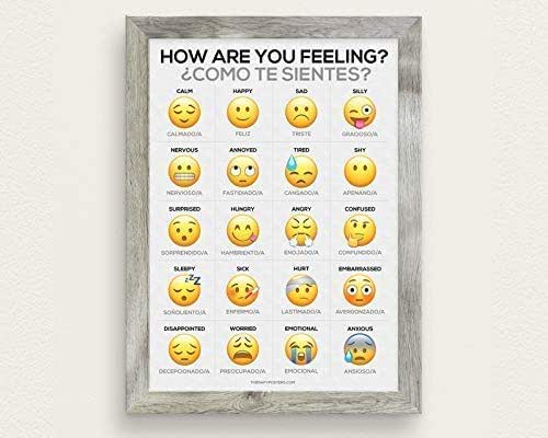 Amazon.com: How Are You Feeling Emoji Feelings Bilingual English ...