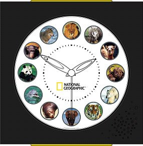 Amazon.com: National Geographic Animal Wall Clock - Fun and Educational ...