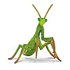 CollectA Insects Praying Mantis Toy Figure - Authentic Hand Painted ...