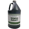 Amazon.com: EcoColorants Concentrated Green Grass Paint - 128 oz ...