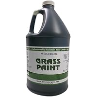 Amazon.com: EcoColorants Green Grass Paint-128 oz (Gallon) -Lawn Paint ...