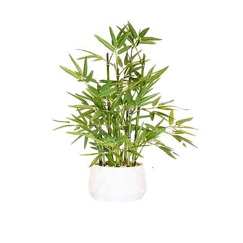 365 Blooming Decor 18 inch Tall White Potted Faux Bamboo Plant- Luxury ...
