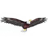 Amazon.com: Eagle Patch - Eagle Iron On Patch for Jackets, Dress, Jeans ...