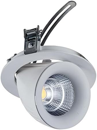 20W LED Tilt Swivel Scoop Spotlight Downlight Retail Shop Display Light ...