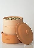 Amazon.com : hawos Toni Terracotta Sprouter Clay Sprouting Pot : Garden ...