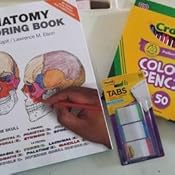 The Anatomy Coloring Book: 0642688054786: Medicine & Health Science ...