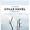 Stille Havel: Kriminalroman (Toni Sanftleben): Amazon.de: Pieper, Tim ...