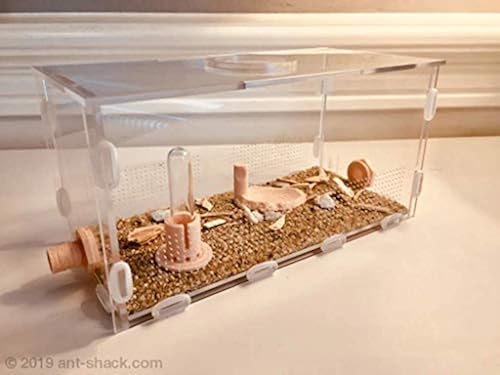 ANT SHACK Large Ant Outworld Kit Nature - Ant Farm Nest Formicarium Kit ...