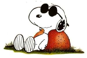 Amazon.com : Snoopy in sunglasses sunbathing on a rock Iron On Transfer ...
