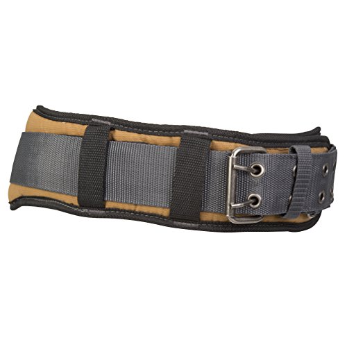 Dickies Heavy-Duty Padded Work Belt for Contractors, Double-Tongue ...