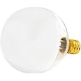 Bulbrite 25G16HM Half Chrome 25W Globe Shape Bulb - Incandescent Bulbs - Amazon.com