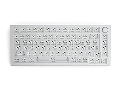 Glorious Gaming Modular Mechanical Gaming Keyboard - GMMK Pro Series ...