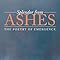 Splendor from Ashes: The Poetry of Emergence: Rizzolo, Ingrid ...