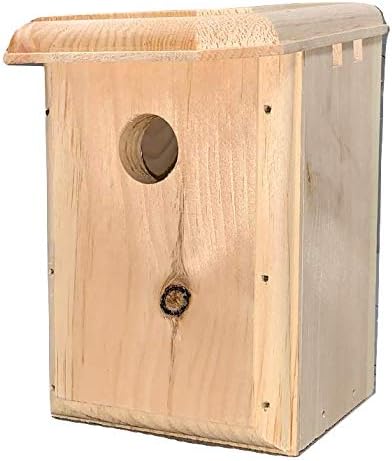 Amazon.com : Wakefield Premium Bird Houses See Through Window Nesting ...