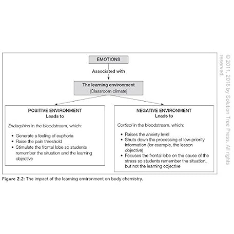 Mua Differentiation and the Brain: How Neuroscience Supports the ...