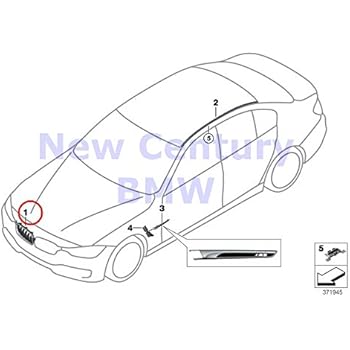 Amazon.com: Genuine BMW F22 F23 Radiator Kidney Modern Line Grille Left ...
