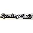 Amazon.com: 2 RV TRAILER CAMPER KEYSTONE SPRINGDALE LOGO GRAPHICS ...