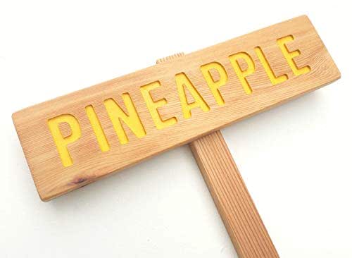 Amazon.com: PINEAPPLE Sign, Yard Art, Outdoor Marker, Tropical Fruit ...