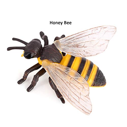 Hvogvok Bee Growth Cycle Set, Lifelike Animal Figures, Educational Kids ...