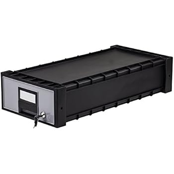 Amazon.com : Storex Plastic Archive Storage Box, Check Size, 24-Inch ...