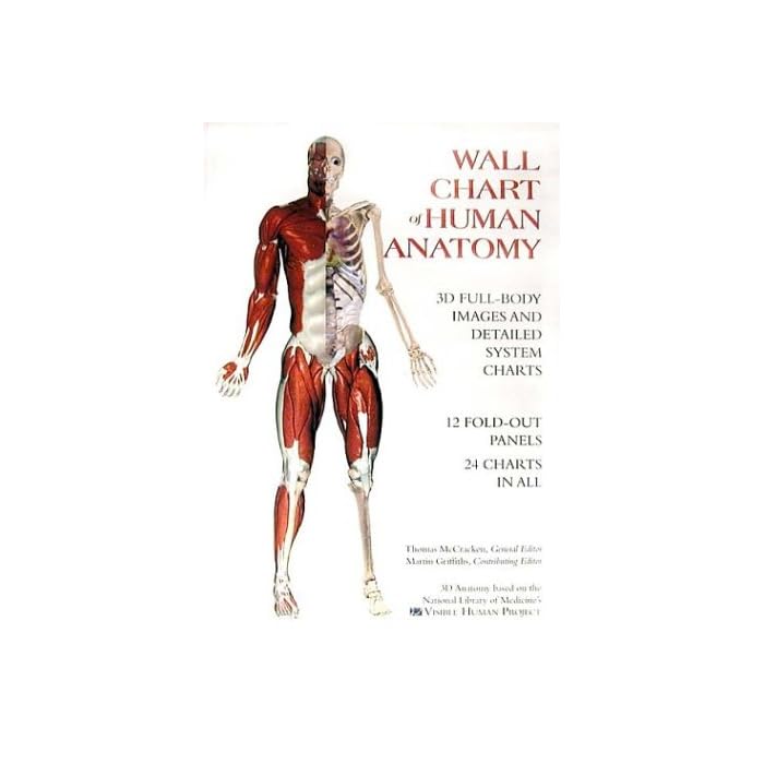 Buy Wall Chart Of Human Anatomy Online At Desertcart Israel buy-wall-chart-of-human-anatomy-online-at-desertcart-israel