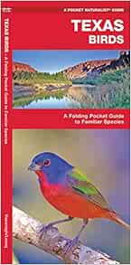 Texas Birds: A Folding Pocket Guide to Familiar Species (Wildlife and ...