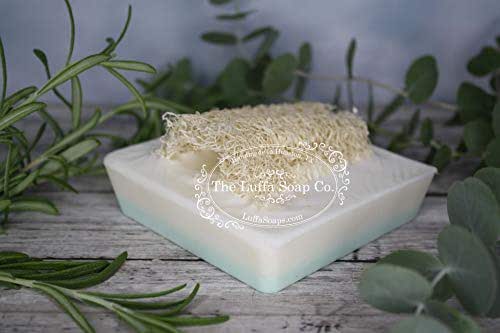 Amazon.com: Luffa Soap Eucalyptus Rosemary Exfoliating Soap Made With ...
