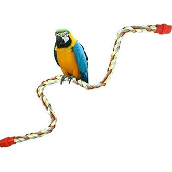 Amazon.com : Hypeety Birds Rope Bungee Perch Adjustable Parrot Cage ...