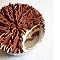 Zoë Bakes Cakes: Everything You Need to Know to Make Your Favorite ...