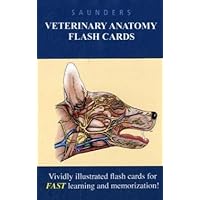 Saunders Veterinary Anatomy Flash Cards: 9781437714401: Medicine ...