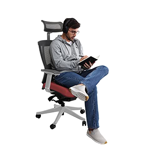 Autonomous Hybrid Dual Motor Height Adjustable Standing Desk and ...