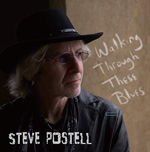 Walking Through These Blues - STEVE POSTELL: Amazon.de: Musik
