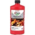 Amazon.com: Sterno All- Weather Instant Flame Gel Fire Starter Fire ...