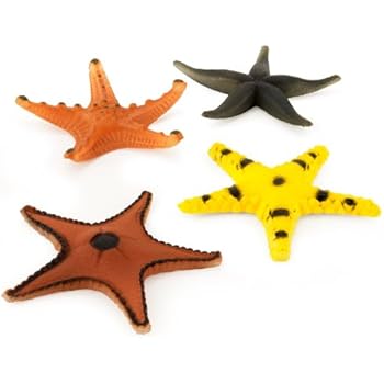 Amazon.com: Lot Of 12 Large Assorted Color & Design Plastic Starfish ...
